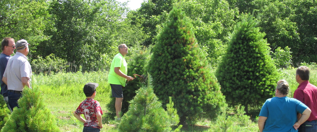 Illinois Christmas Tree Association – Search Our Members to Locate Your ...